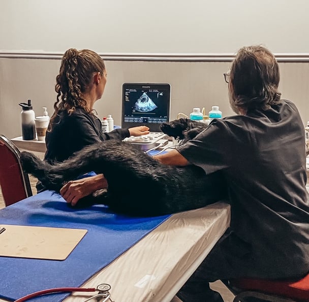 OFA Screening Clinics